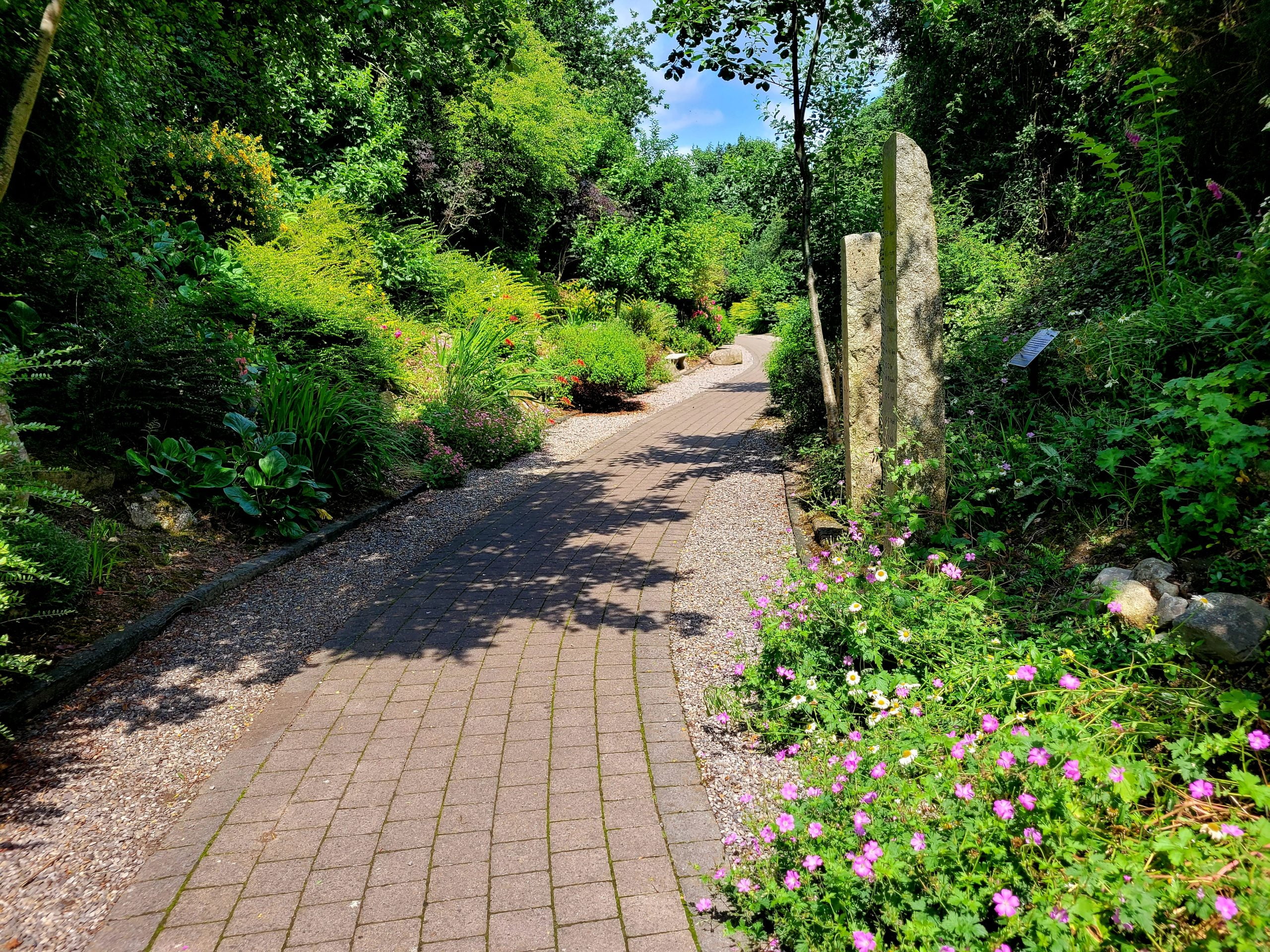 Ballon Tree Trail - Carlow Garden Trail