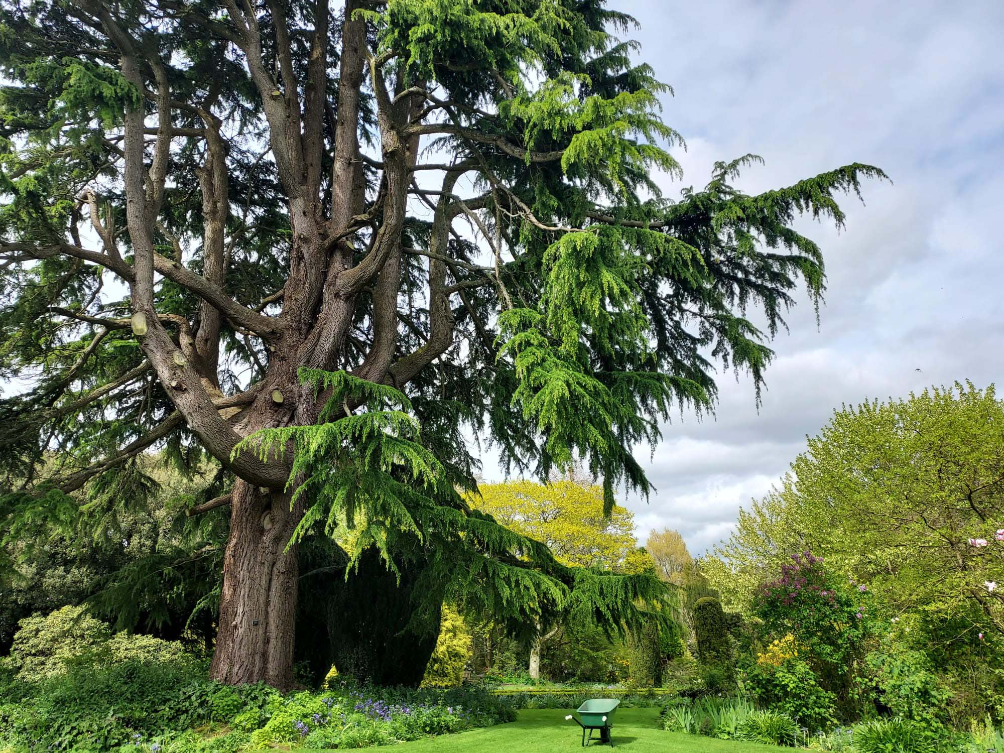 Altamont Gardens - Carlow Garden Trail