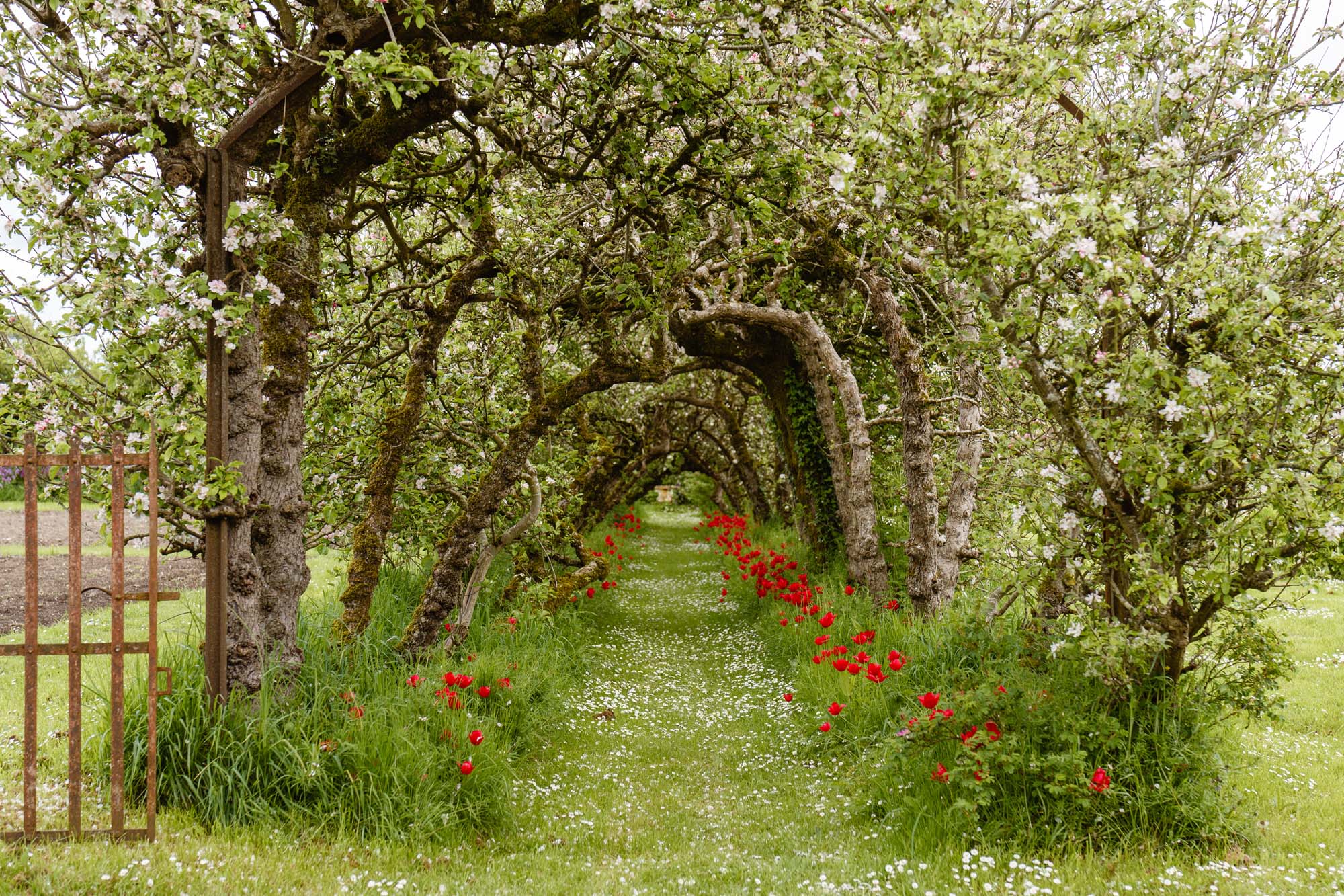 FAQ's - Carlow Garden Trail