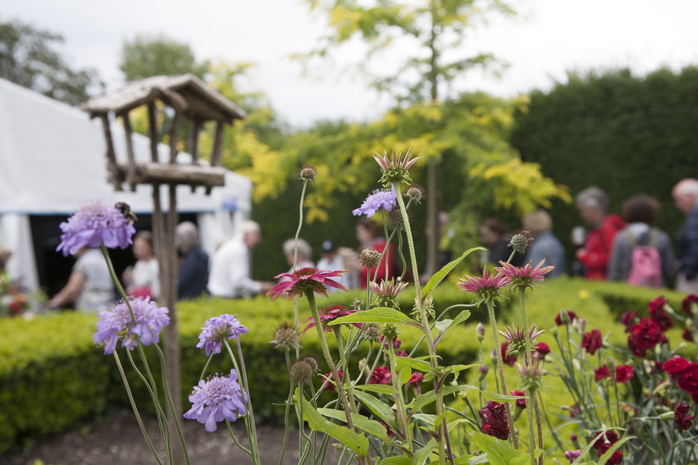 Matthew Pottage and Tom Stuart-Smith at Altamont Plant Sales - Carlow ...