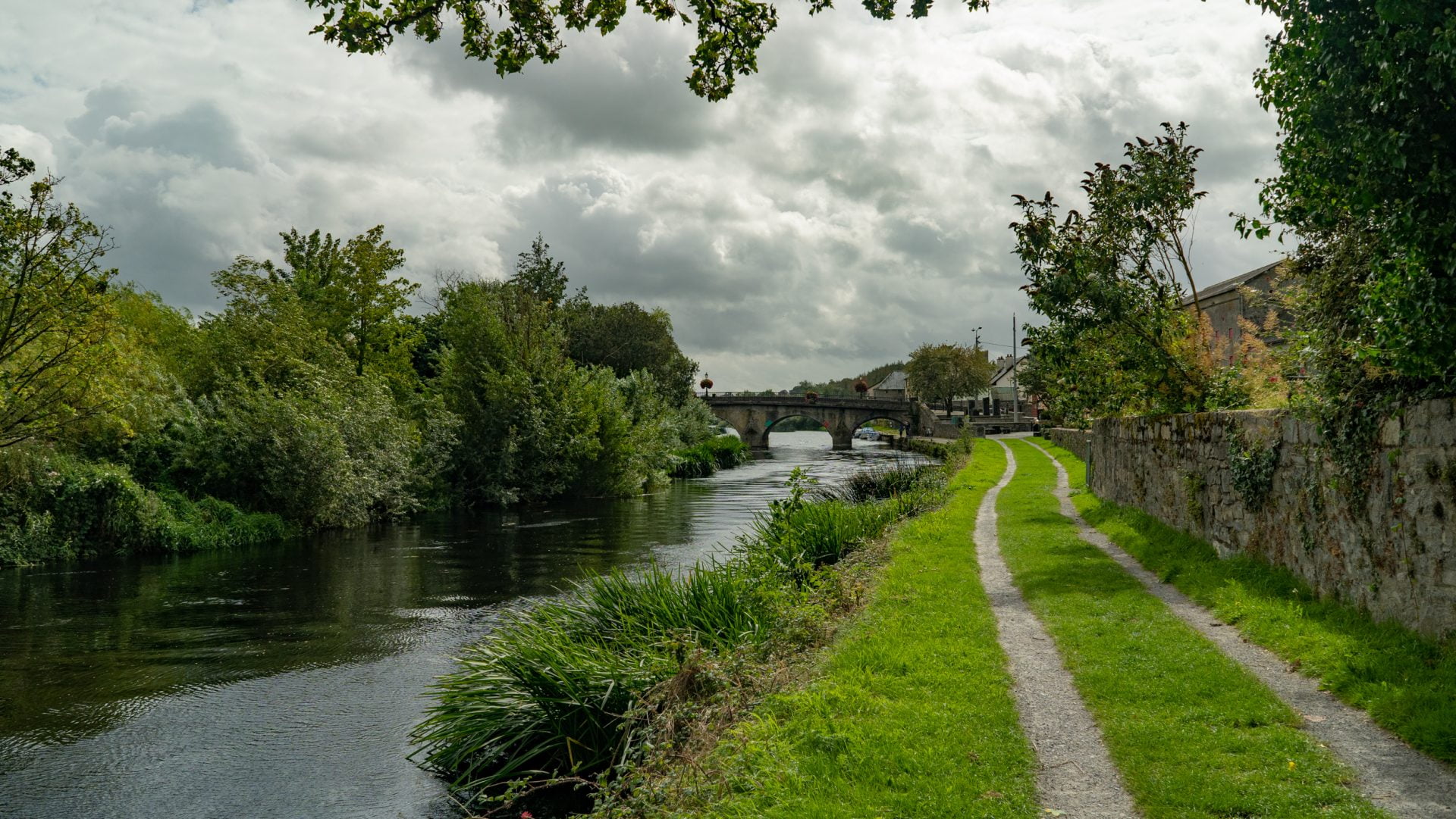 Pádraig Webb in Leighlinbridge - The Garden Village - Carlow Garden Trail